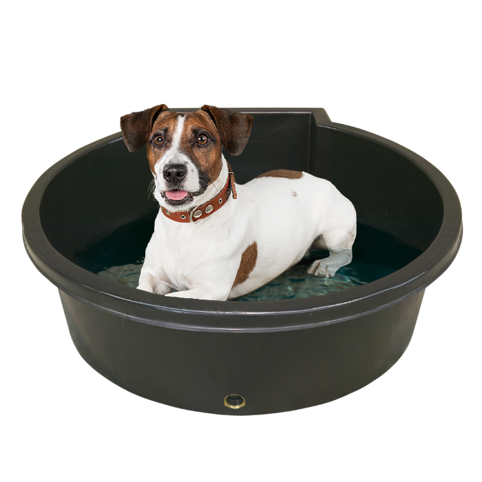 Dog Pools | Nylex Tanks Australia